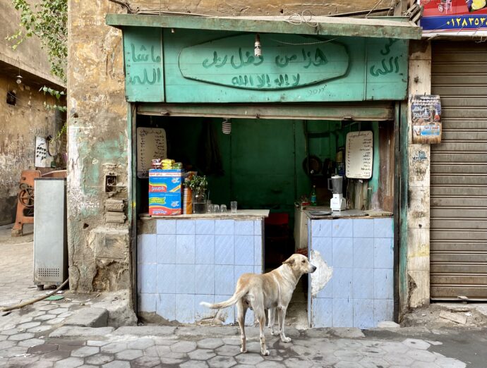 【旅の行程＆費用】海外ひとり旅《エジプト》個人手配で行くピラミッド＆ナイル川クルーズ | OLコムギの週末弾丸旅ブログ